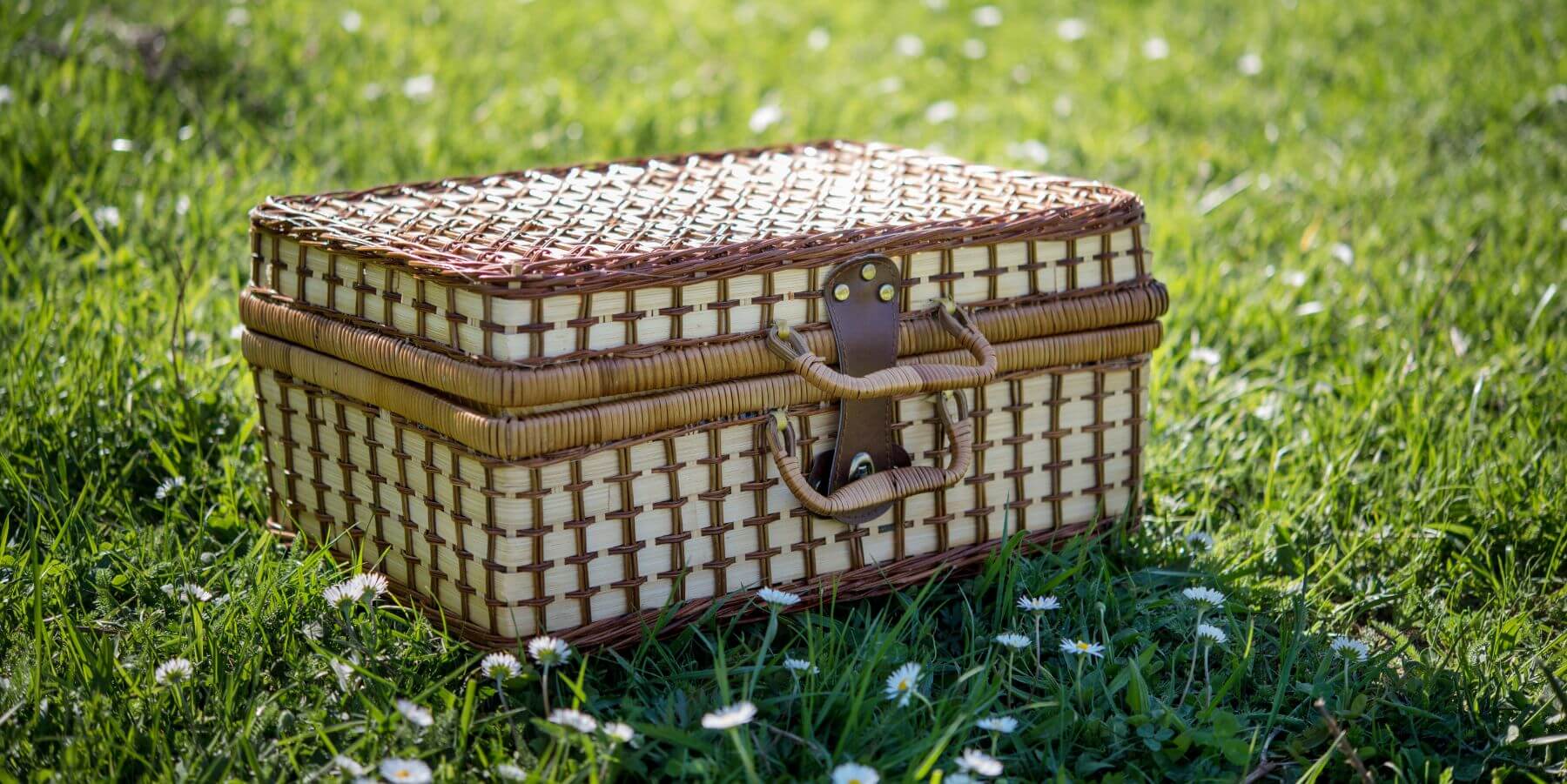 Super Fun Picnic Ideas For Any Time Of Year | Kohkoz